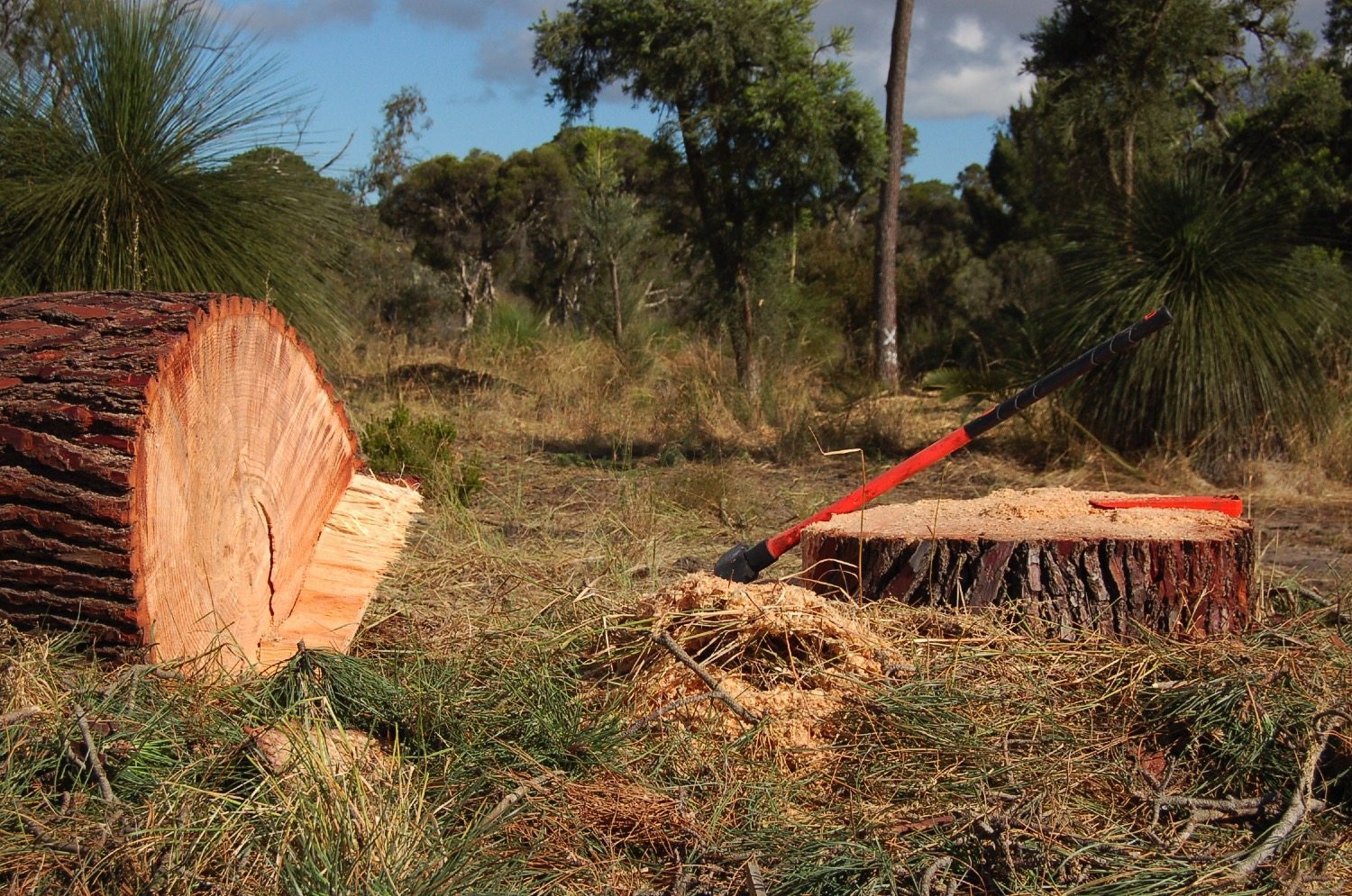 FAQ - Assured Tree Services