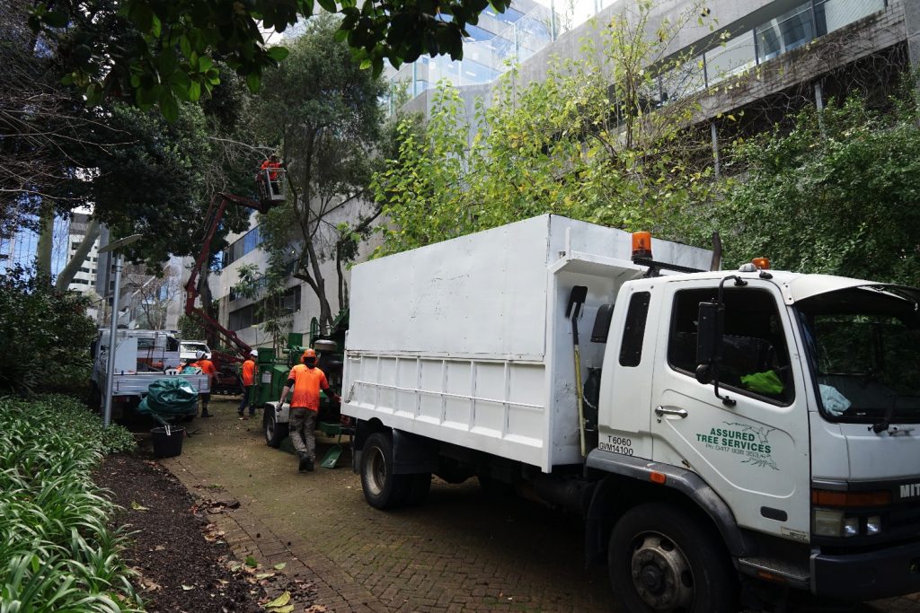 About Us - Assured Tree Services