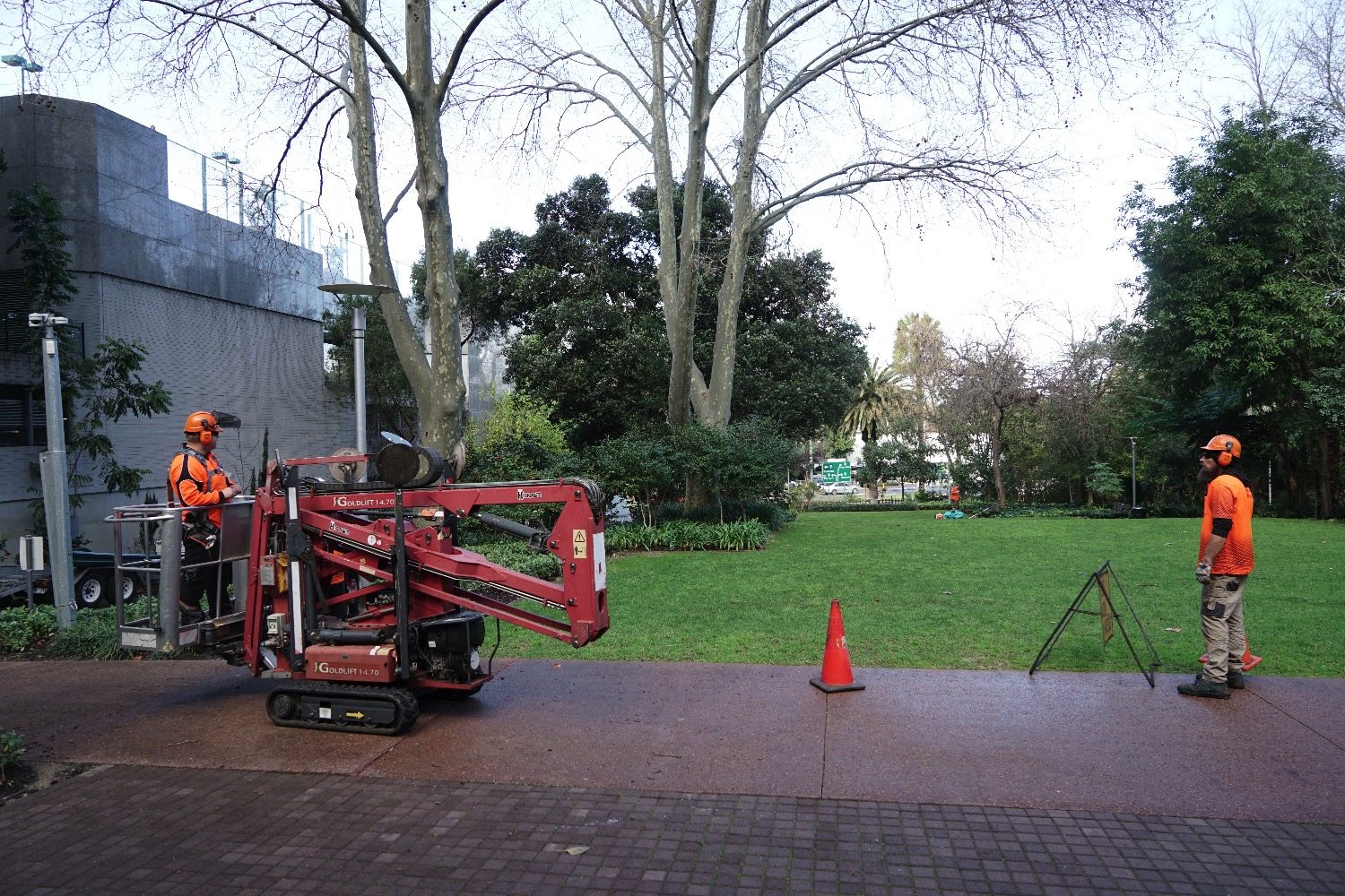 Government & Council Tree Services - Assured Tree Services