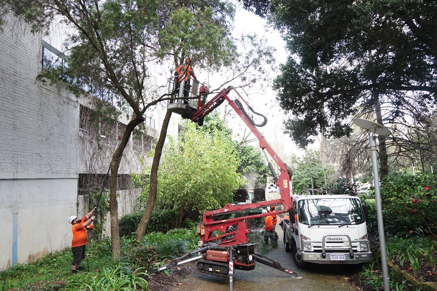 Commercial Tree Services - Assured Tree Services