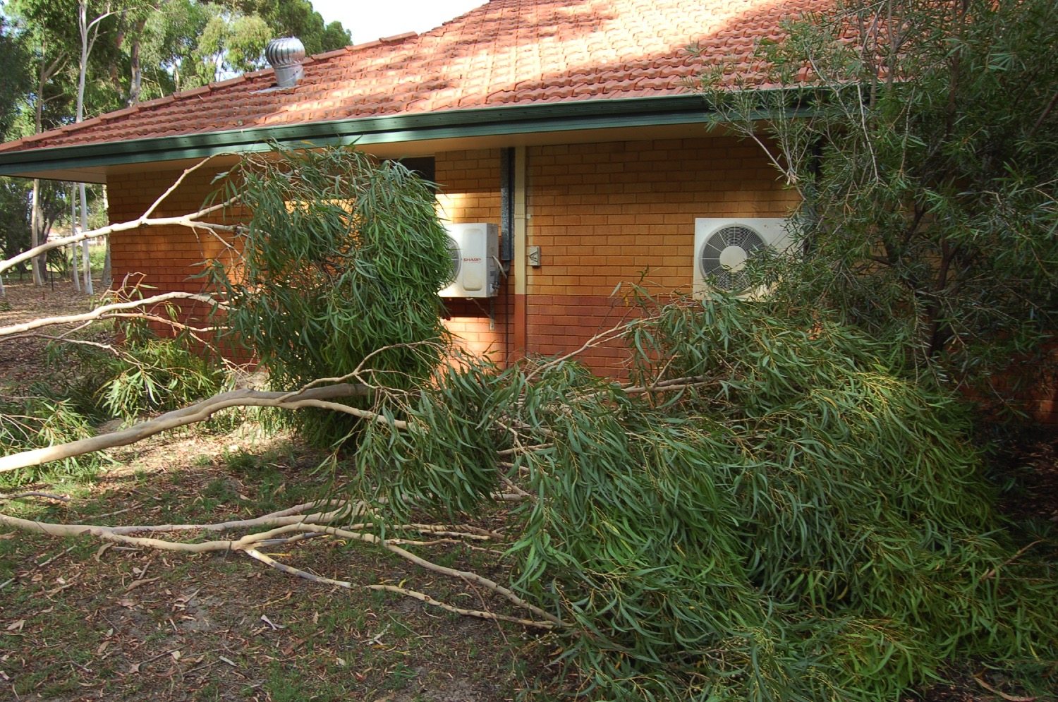Emergency Call Out Perth - Assured Tree Services