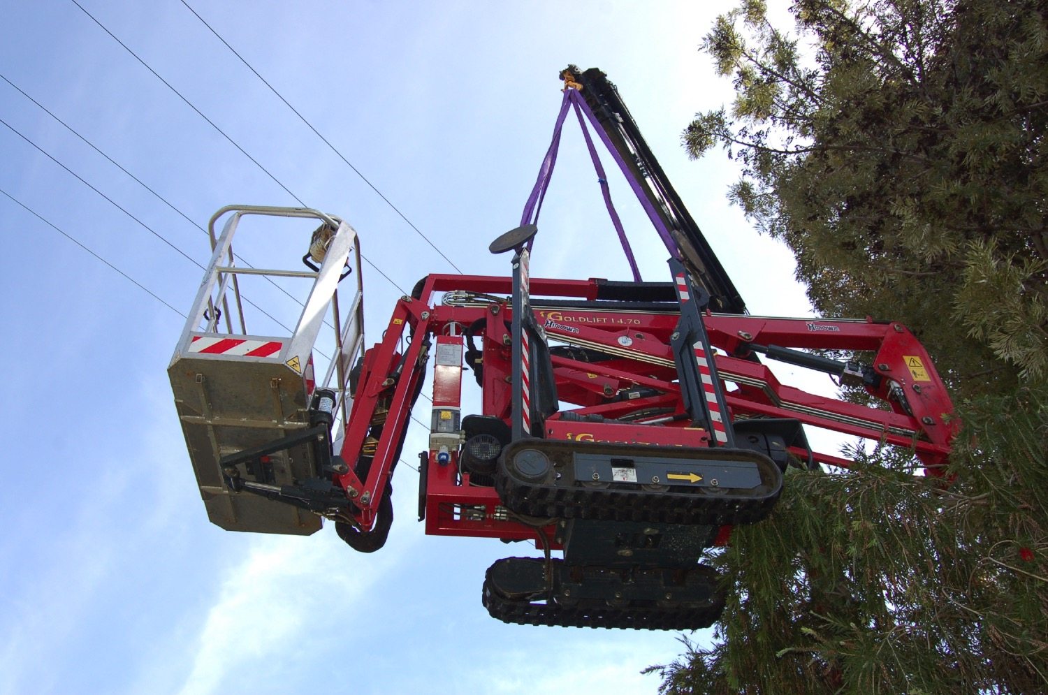 Power Line Clearance - Assured Tree Services