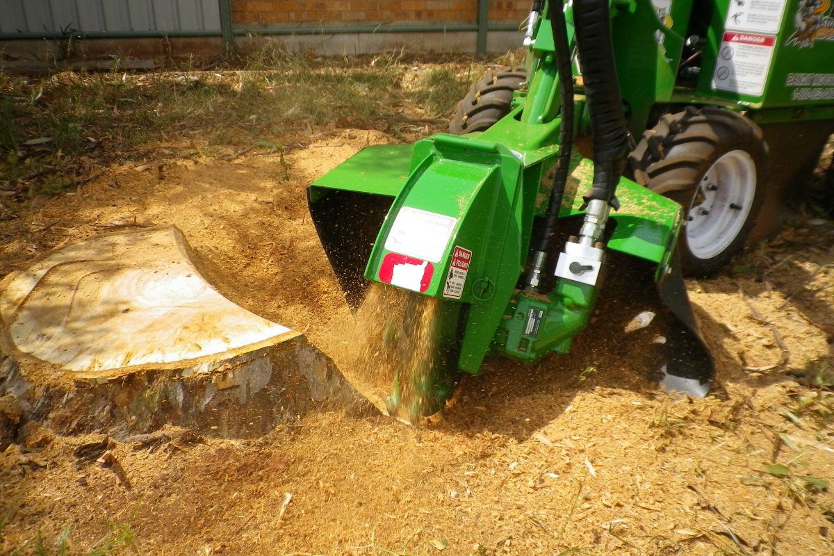 Stump Grinding - Assured Tree Services